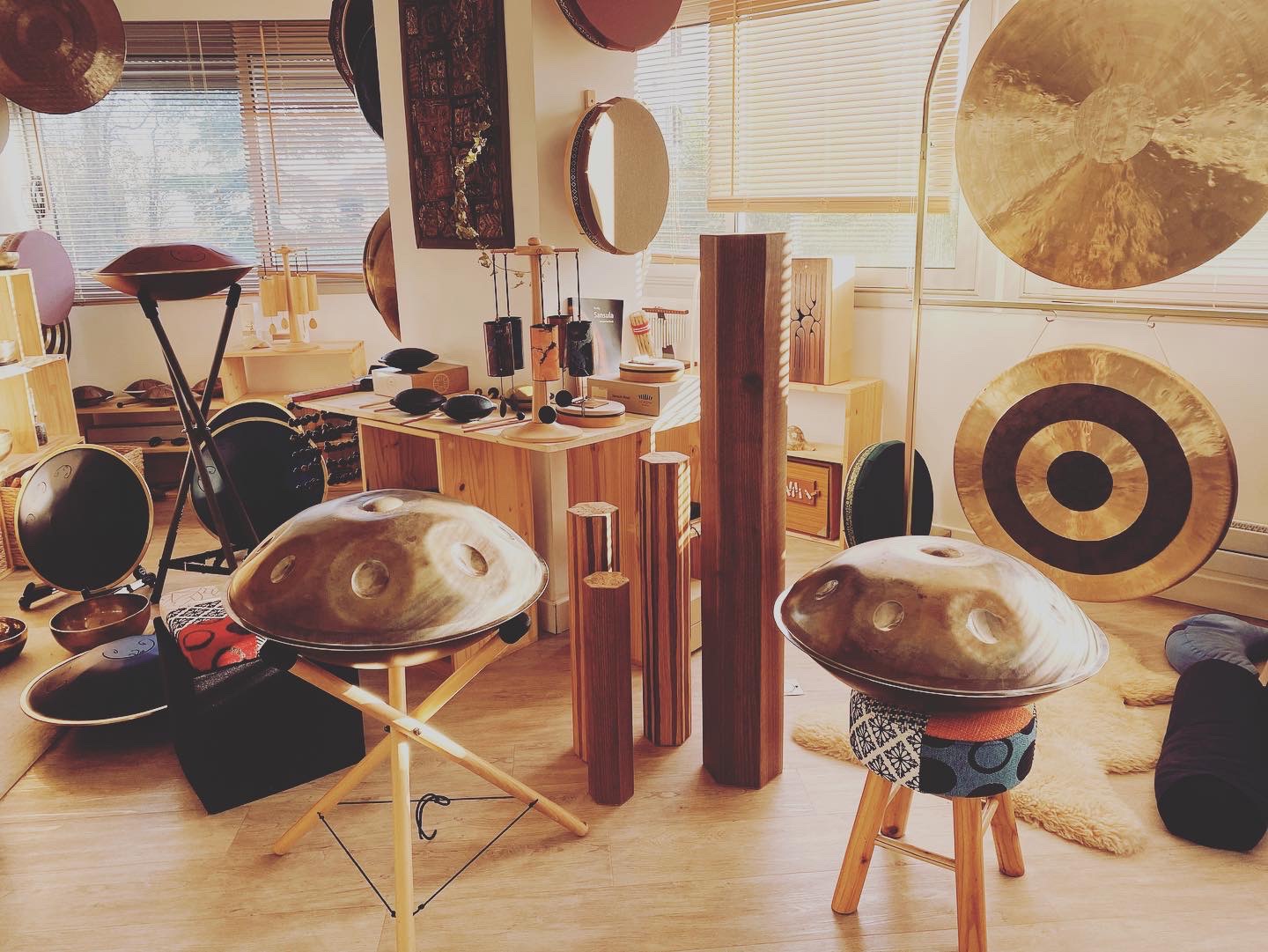 Initiation aux différents outils thérapeutiques, instruments sonores ...